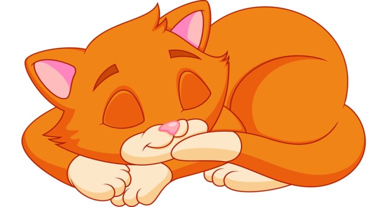 Funny Joke ‣ God And Cat – Asyoli