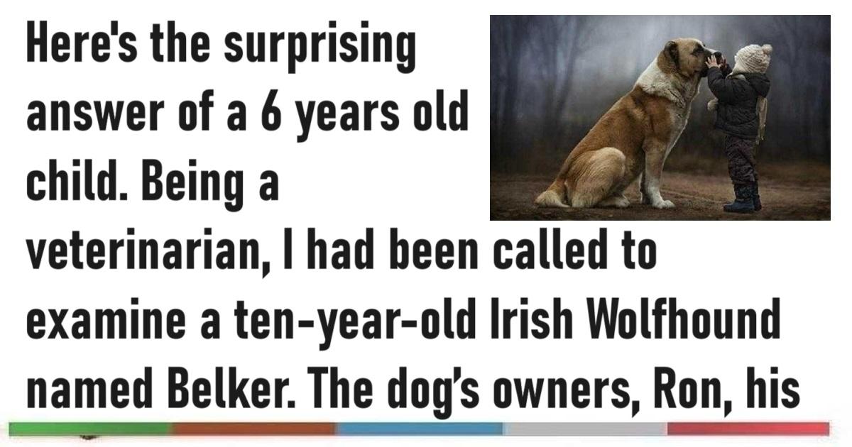Quotes ‣ Why Dogs Live Less Than Human – Asyoli